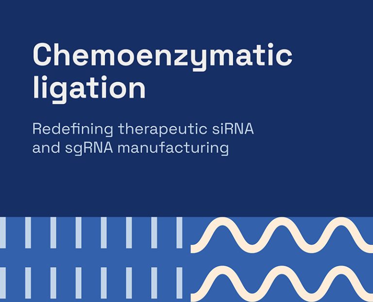 Chemoenzymatic Synthesis of siRNA and sgRNA Using Ligation Technology | Hongene